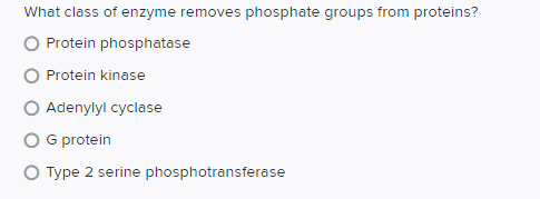 Solved What class of enzyme covalently adds phosphate groups | Chegg.com