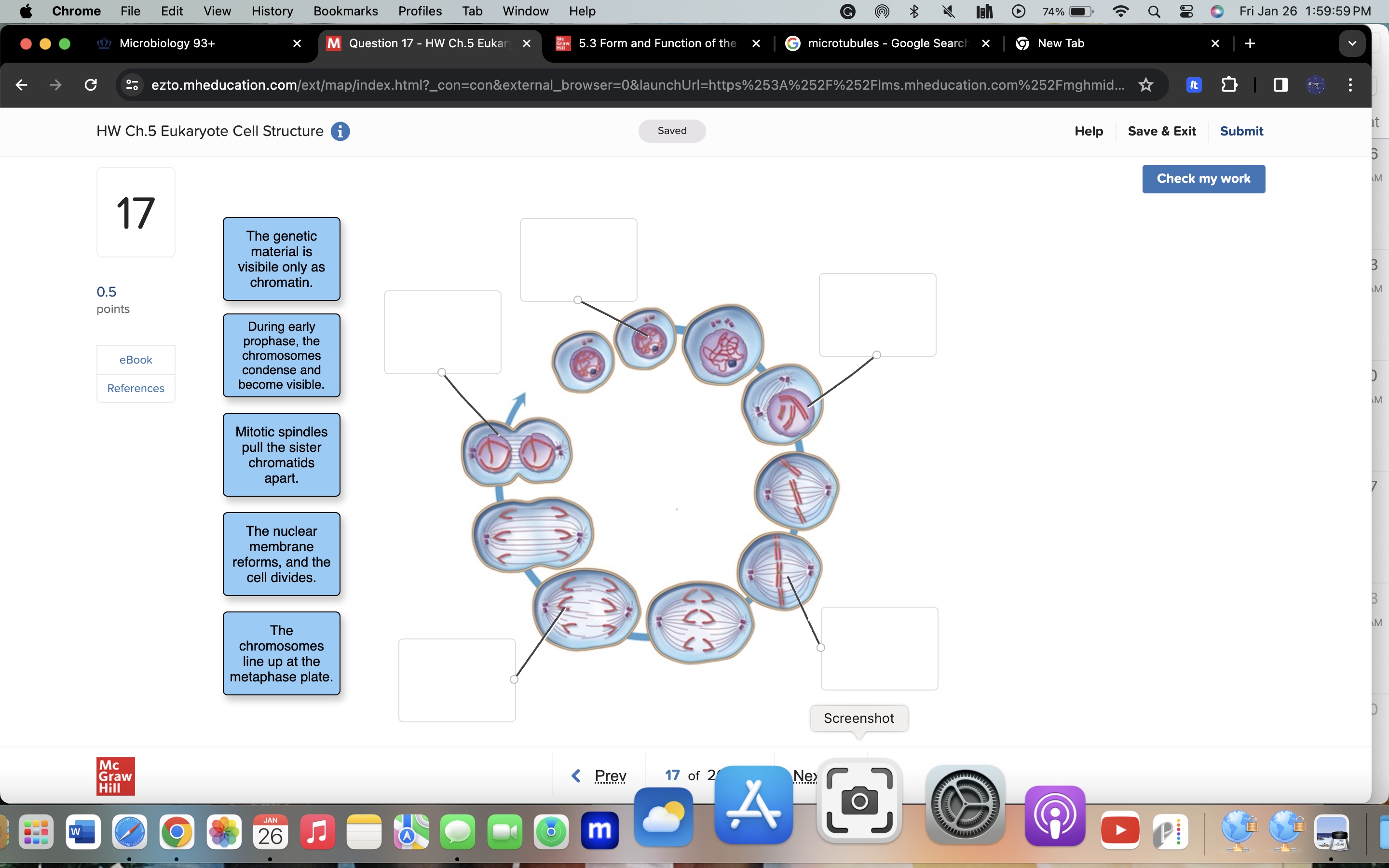 Solved Drag the labels correctly to describe the process of | Chegg.com