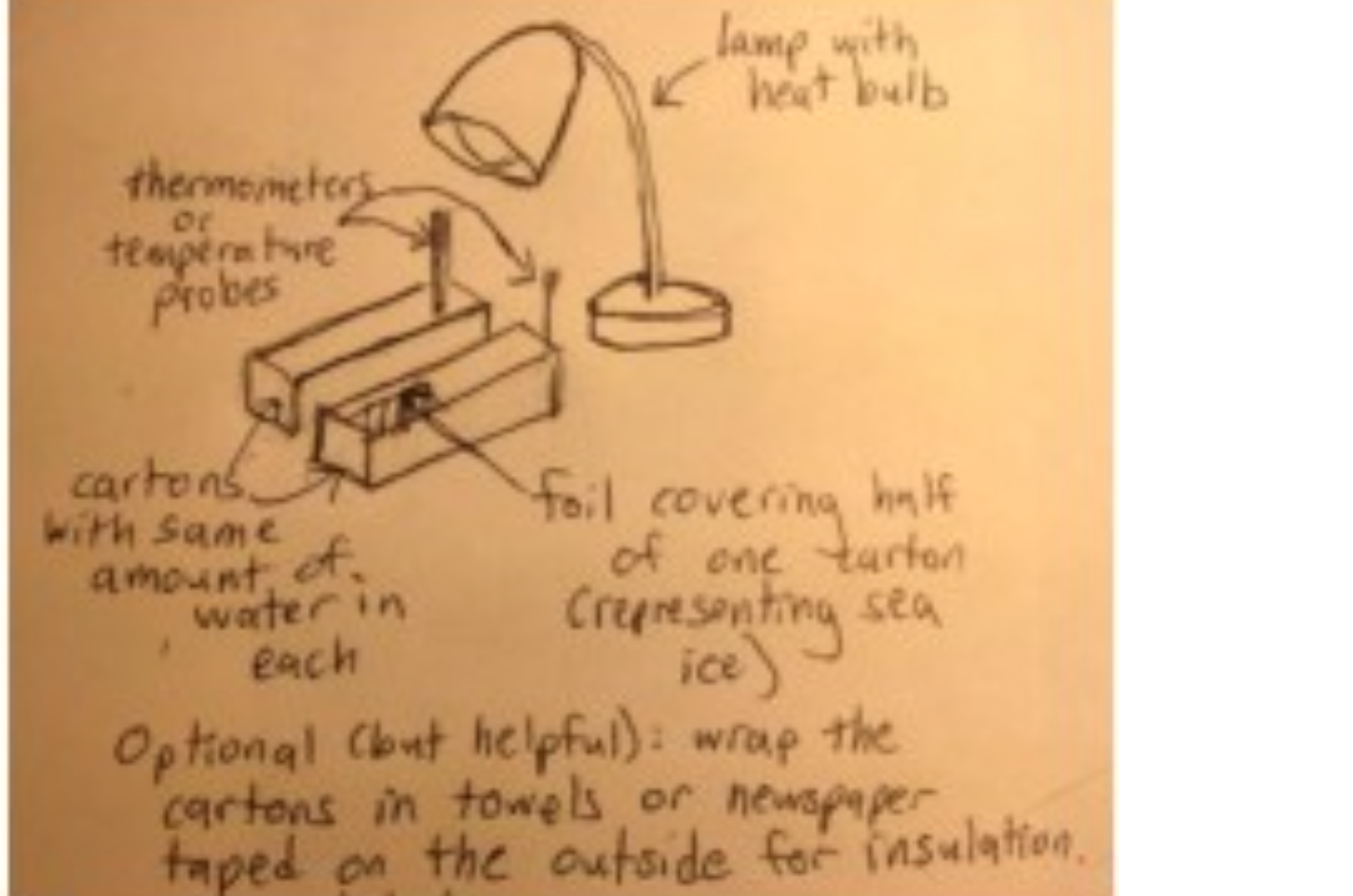 8. Sea Ice and Temperature experiment. Please | Chegg.com