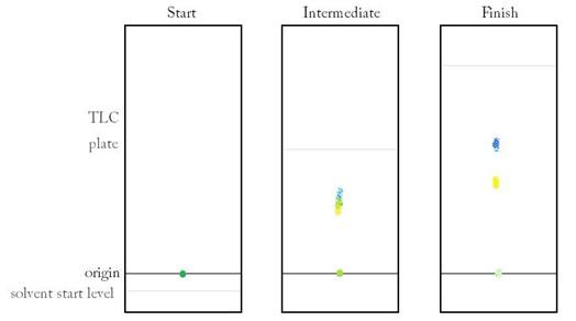 4 ) Below, three different time points of a single | Chegg.com