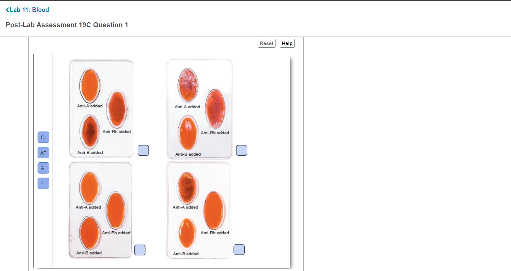 Solved Question | Chegg.com