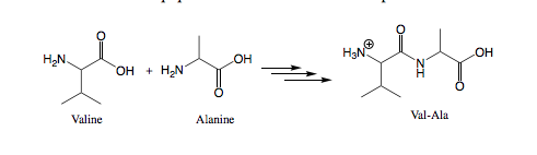 Solved Using valine and alanine, plus any other reagents, | Chegg.com