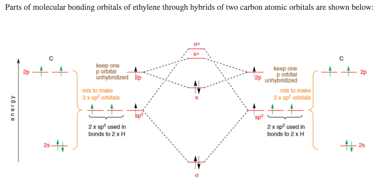 Solved Parts of molecular bonding orbitals of ethylene | Chegg.com