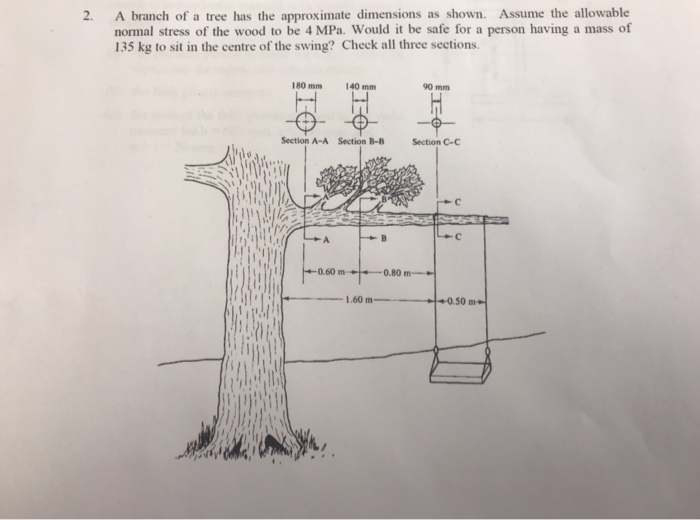 Solved A branch of a tree has the approximate dimensions as | Chegg.com