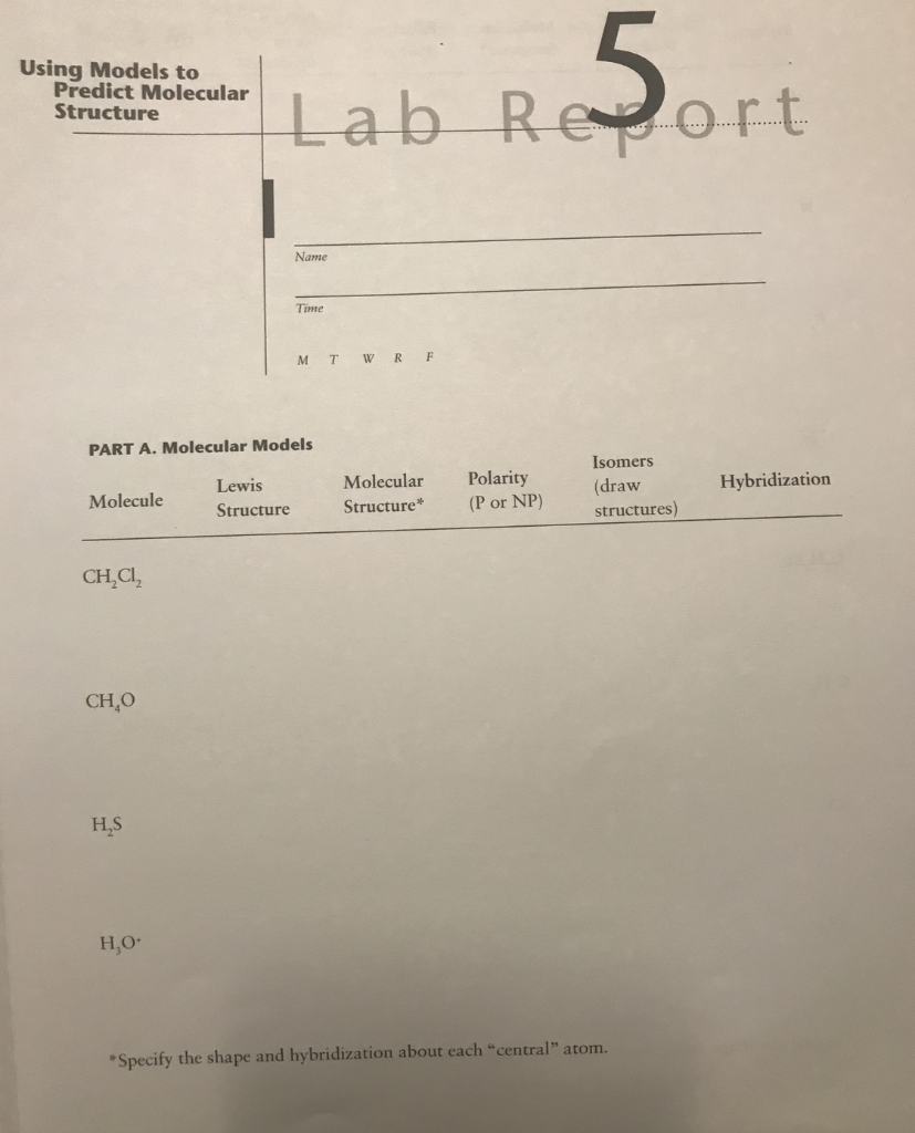 Solved Using Models To Predict Molecular Structure Lab Re