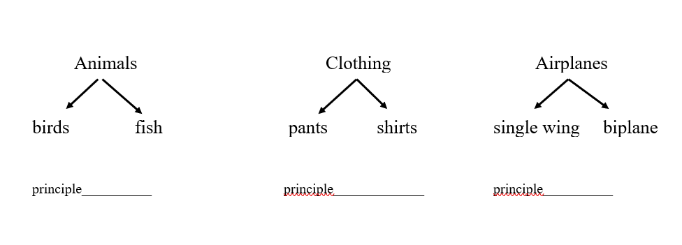 Solved V. Indicate the principle of classification (the | Chegg.com