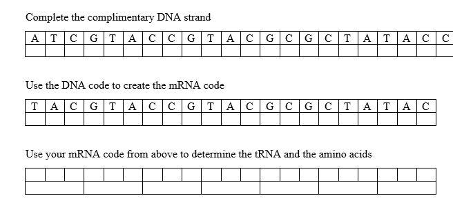 Solved Complete the complimentary DNA strand ATC GTA C CGTAC | Chegg.com