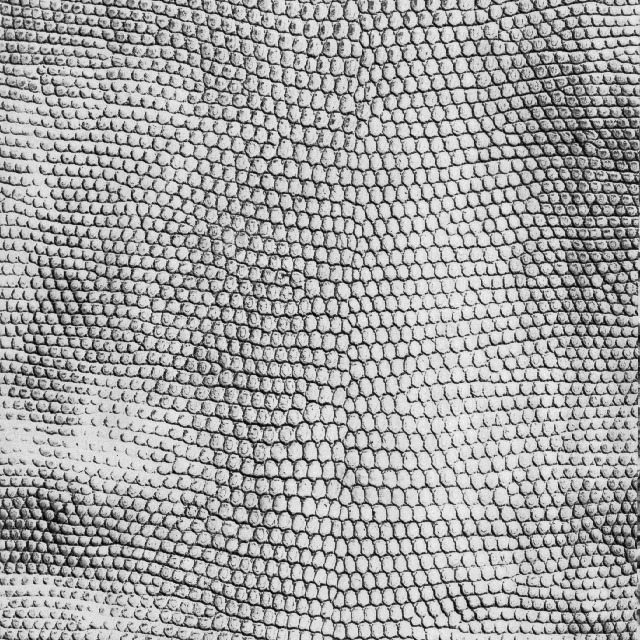 Problem 2: (10 points) Co-occurrence matrix and | Chegg.com