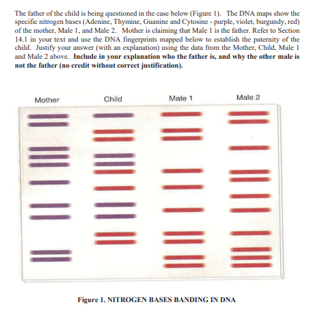 Solved The father of the child is being questioned in the | Chegg.com