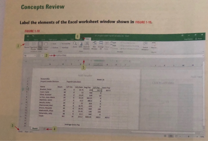 Solved Concepts Review Label the elements of the Excel | Chegg.com