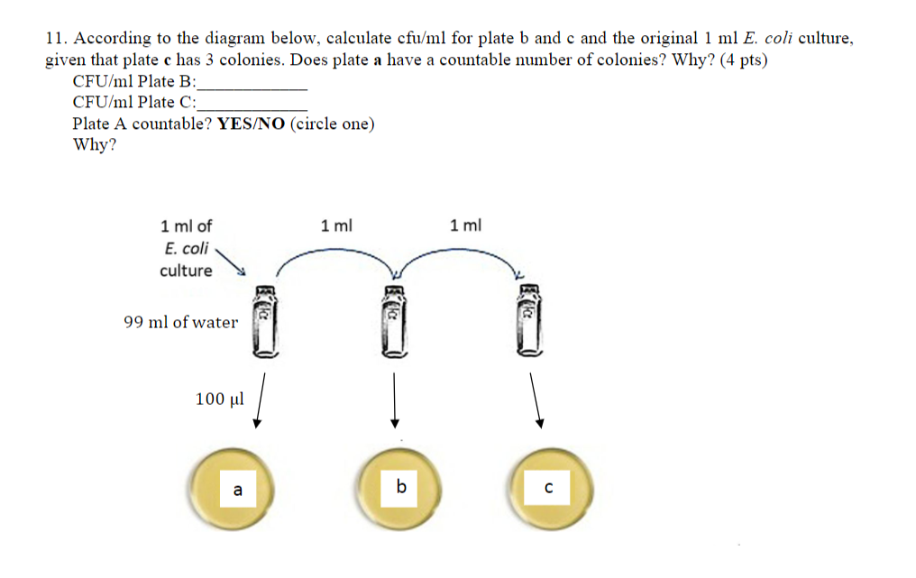 Solved 11. According to the diagram below, calculate cfu/ml | Chegg.com