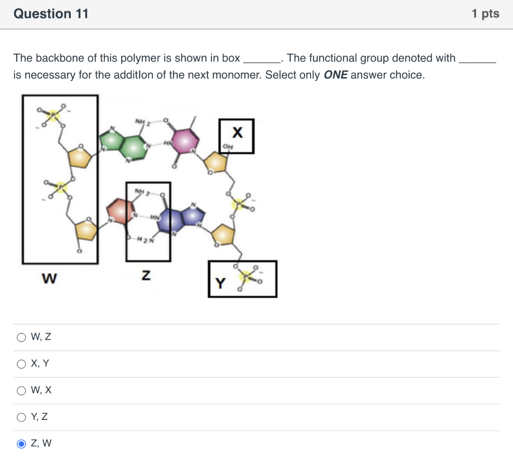 Solved Question 11 1 pts The backbone of this polymer is | Chegg.com
