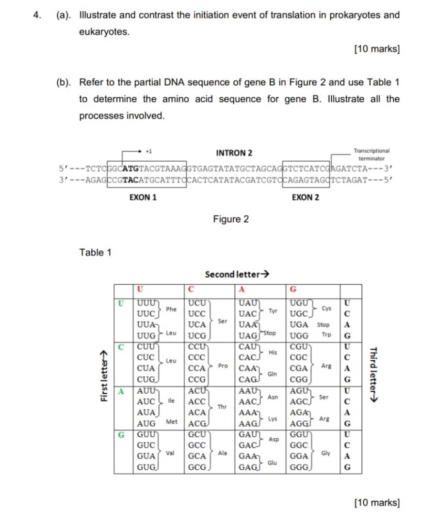 Solved 4. (a). Illustrate and contrast the initiation event | Chegg.com