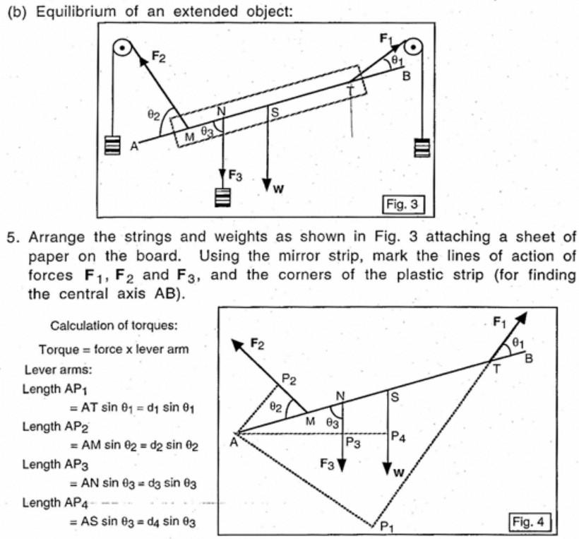 Solved (b) Equilibrium of an extended object: 5. Arrange the | Chegg.com