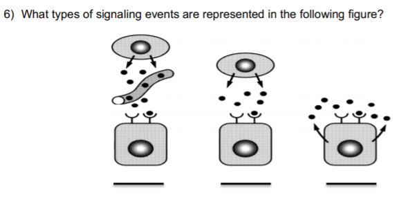 Solved 6) What types of signaling events are represented in | Chegg.com
