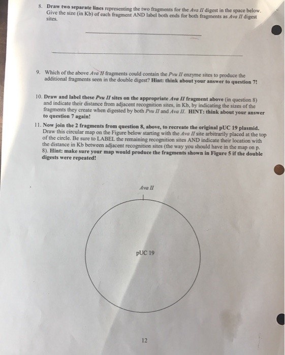 Solved Use the data presented in Figure 5 below to calculate | Chegg.com