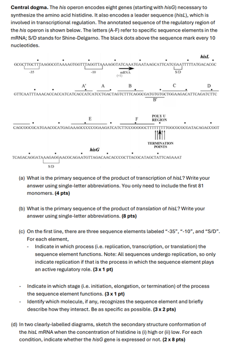 Solved Central dogma. The his operon encodes eight genes | Chegg.com