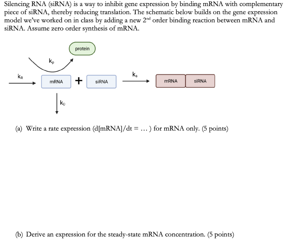 Solved Silencing RNA (siRNA) is a way to inhibit gene | Chegg.com