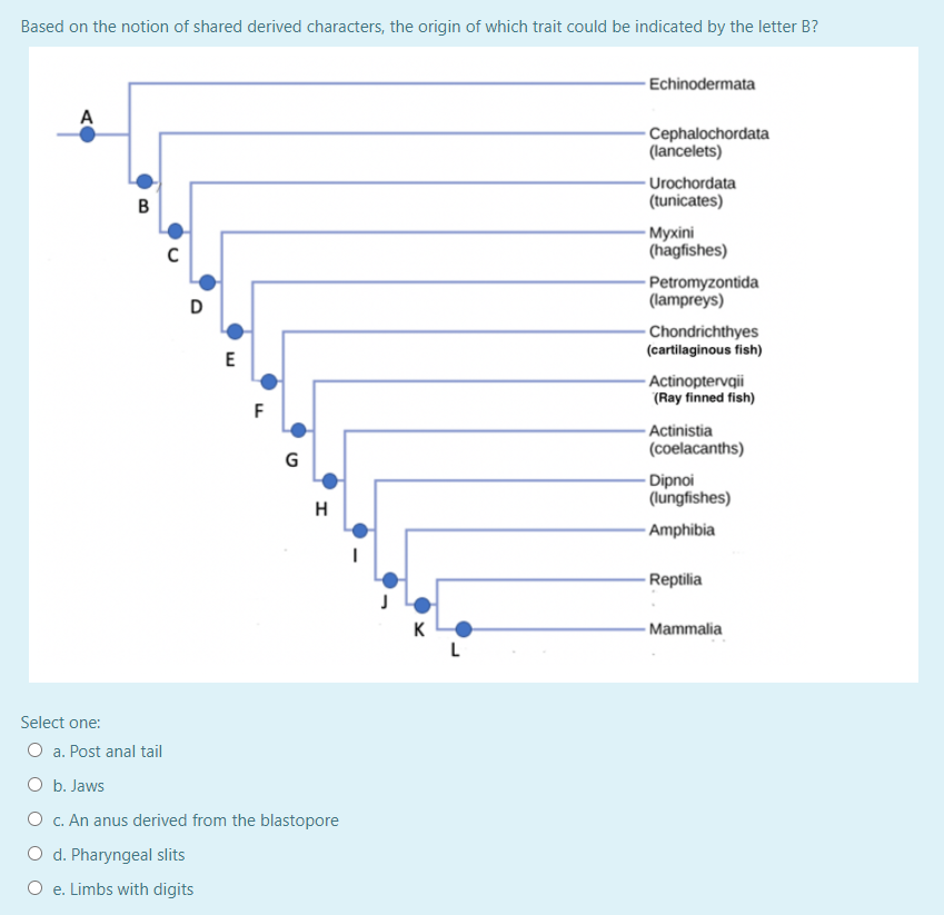 Solved Based on the notion of shared derived characters, the | Chegg.com