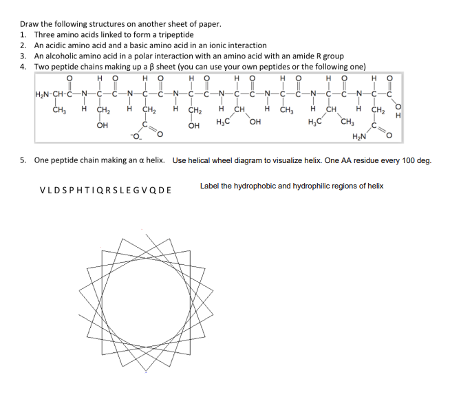 Solved Shown here is the primary structure of the peptide | Chegg.com