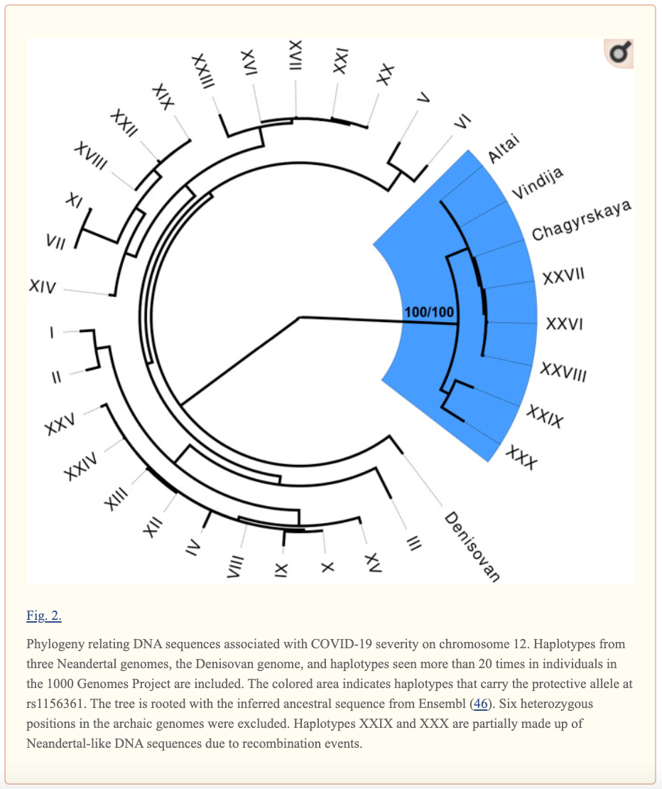 Solved What does Figure 2 demonstrate about the evolution | Chegg.com