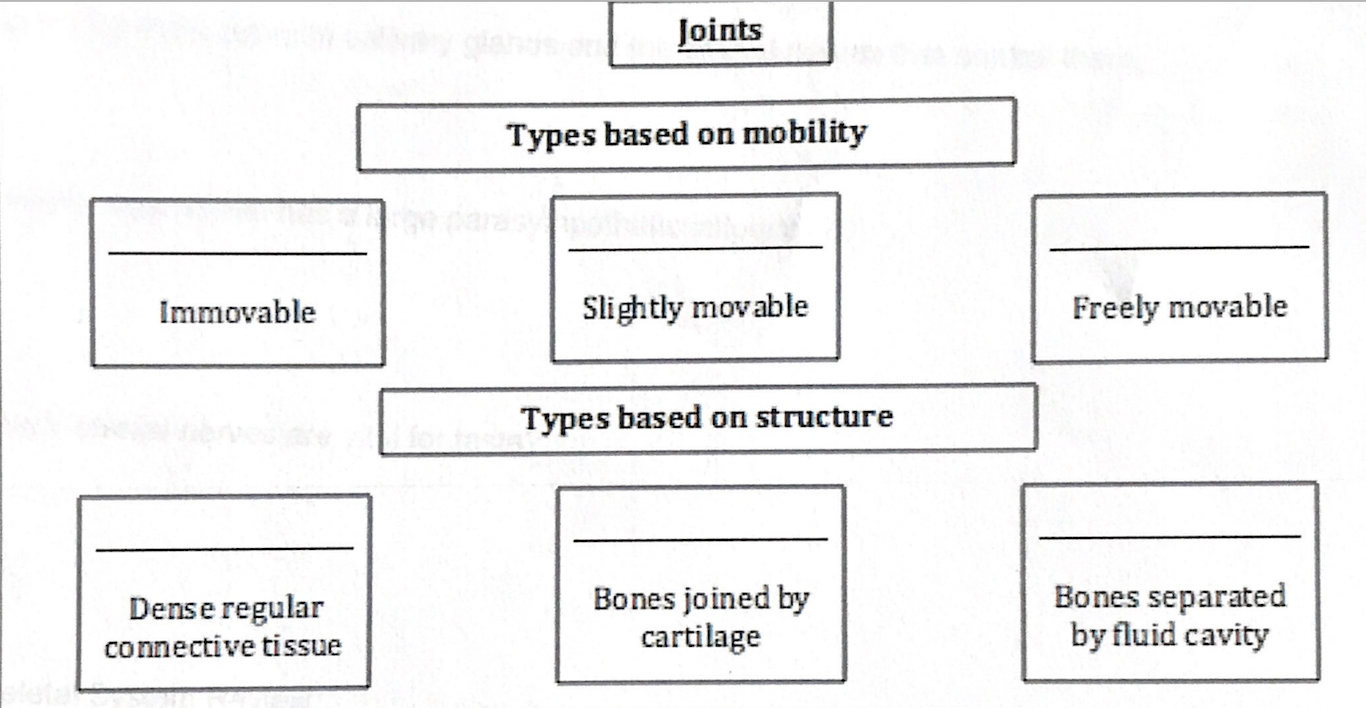 Solved Joints Types based on mobility Immovable Slightly | Chegg.com