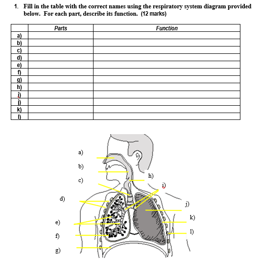 Solved 1. Fill in the table with the correct names using the | Chegg.com