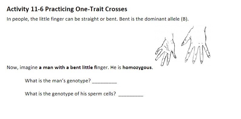 Solved Activity 11-6 Practicing One-Trait Crosses In people, | Chegg.com