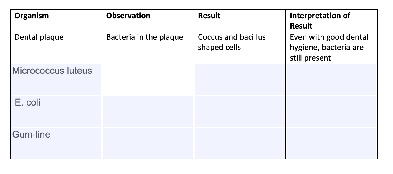 Solved Organism Observation Result Dental plaque Bacteria in | Chegg.com