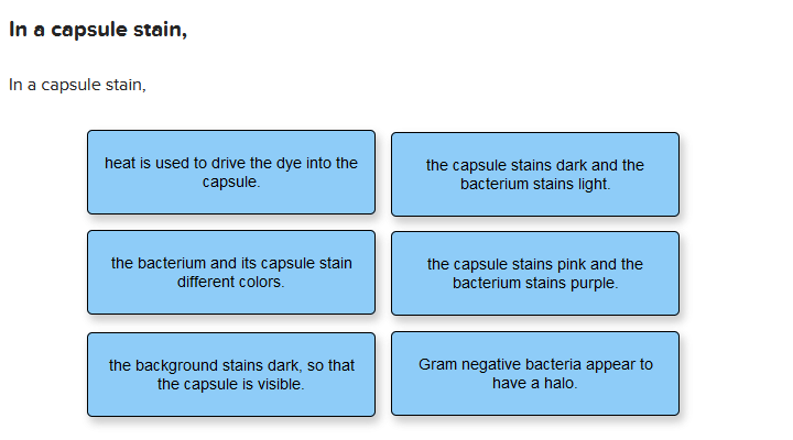 Solved In a capsule stain,In a capsule stain, | Chegg.com