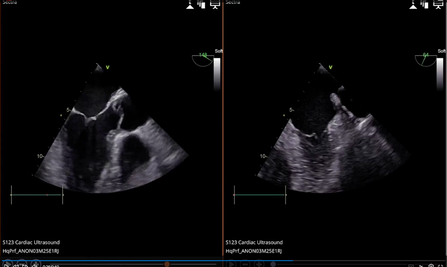 Solved Q4. Which structures in the images are shown by | Chegg.com
