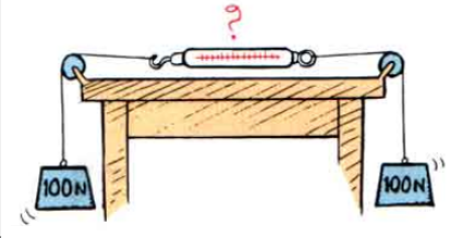 Solved In the picture are 2 weights as shown. In the middle | Chegg.com