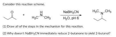 Solved Consider this reaction scheme. H3CN CH3 NaBH CN CHO | Chegg.com