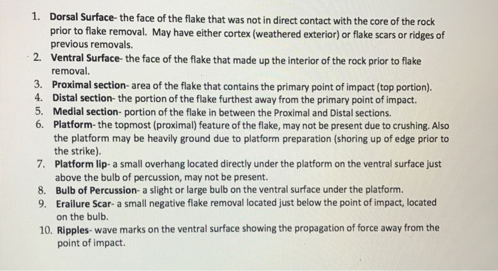 Part 2: Flint Knapping Section 1: Flake Morphology | Chegg.com