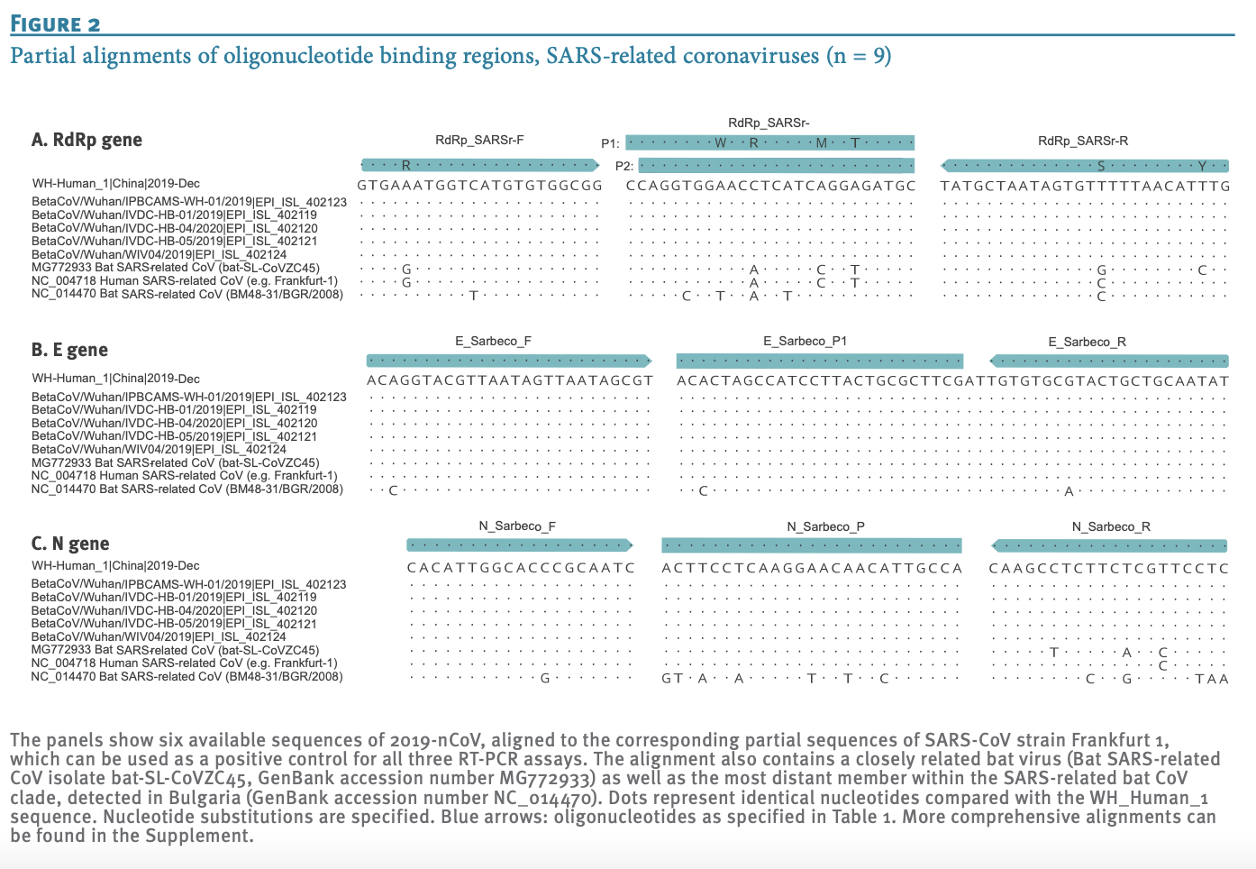 Solved Figure 2 ﻿shows a nucleotide sequence alignment of | Chegg.com