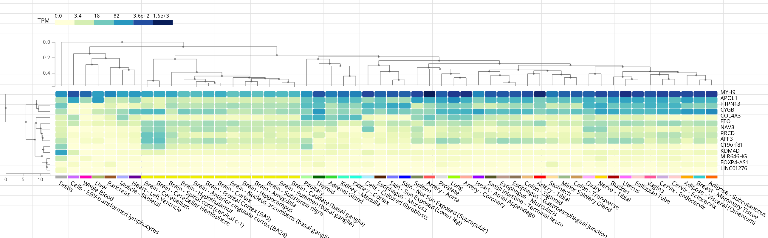 Solved Gene Expression Patterns Summarize the | Chegg.com