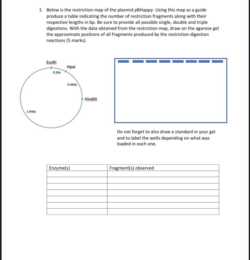 Solved 1. Below is the restriction map of the plasmid | Chegg.com