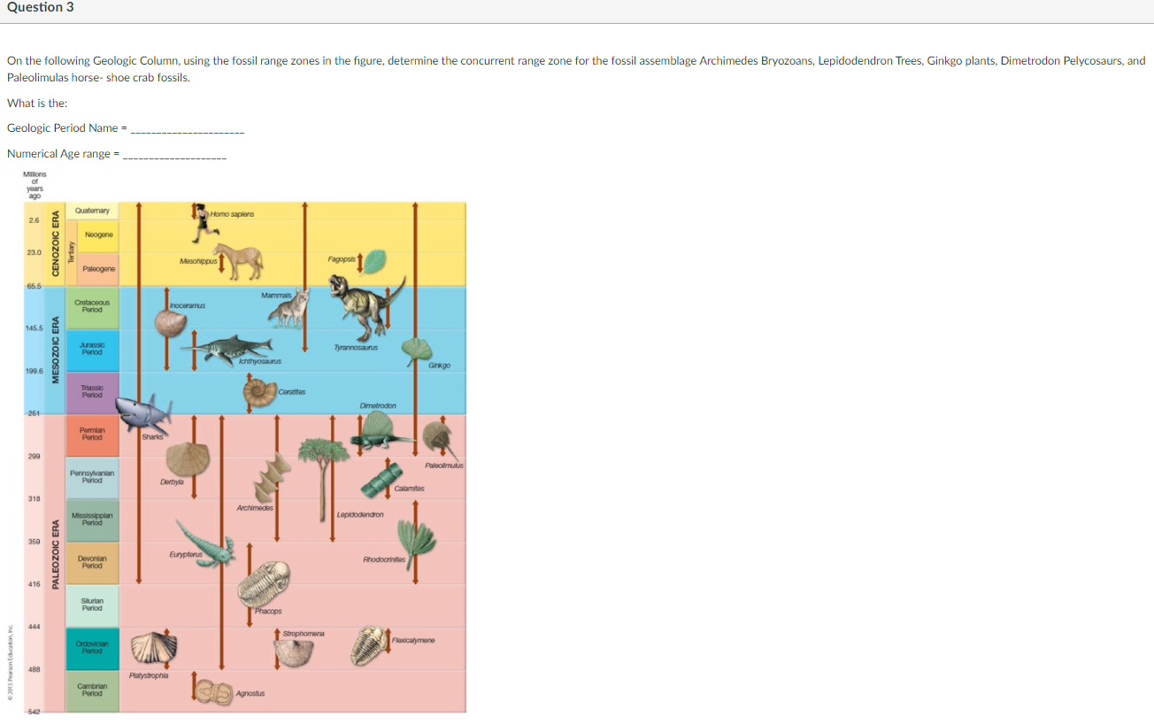 Solved On the following Geologic Column, using the fossil | Chegg.com