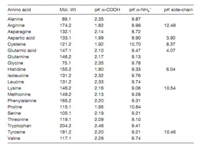 Solved Determine the % composition of AA State #1 | Chegg.com