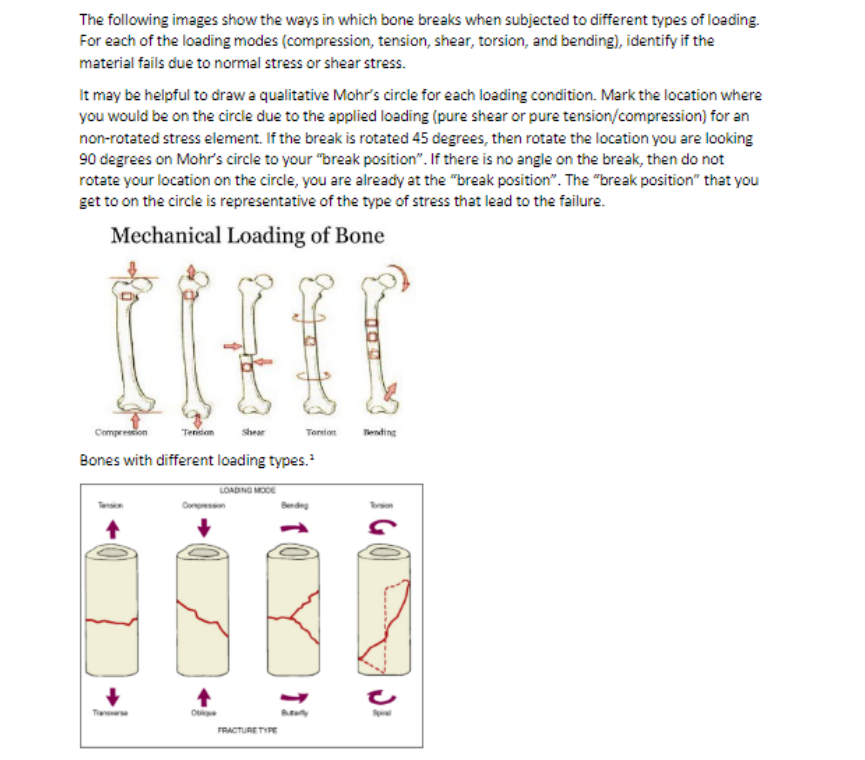 Solved The following images show the ways in which bone | Chegg.com