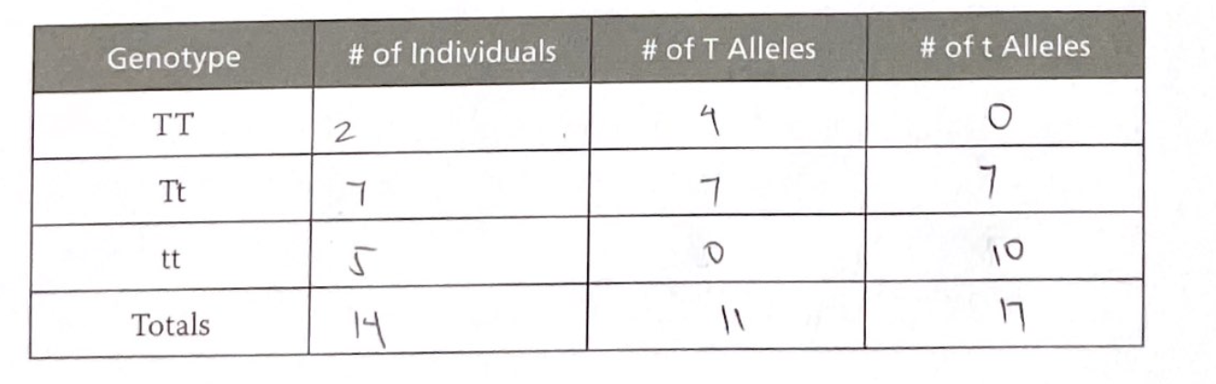 Solved Genotype # of Individuals # of T Alleles #oft Alleles | Chegg.com