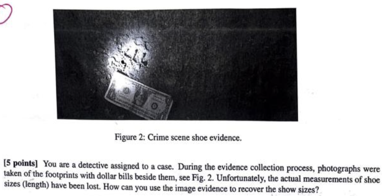 Solved Figure 2: Crime scene shoe evidence. [5 points] You | Chegg.com