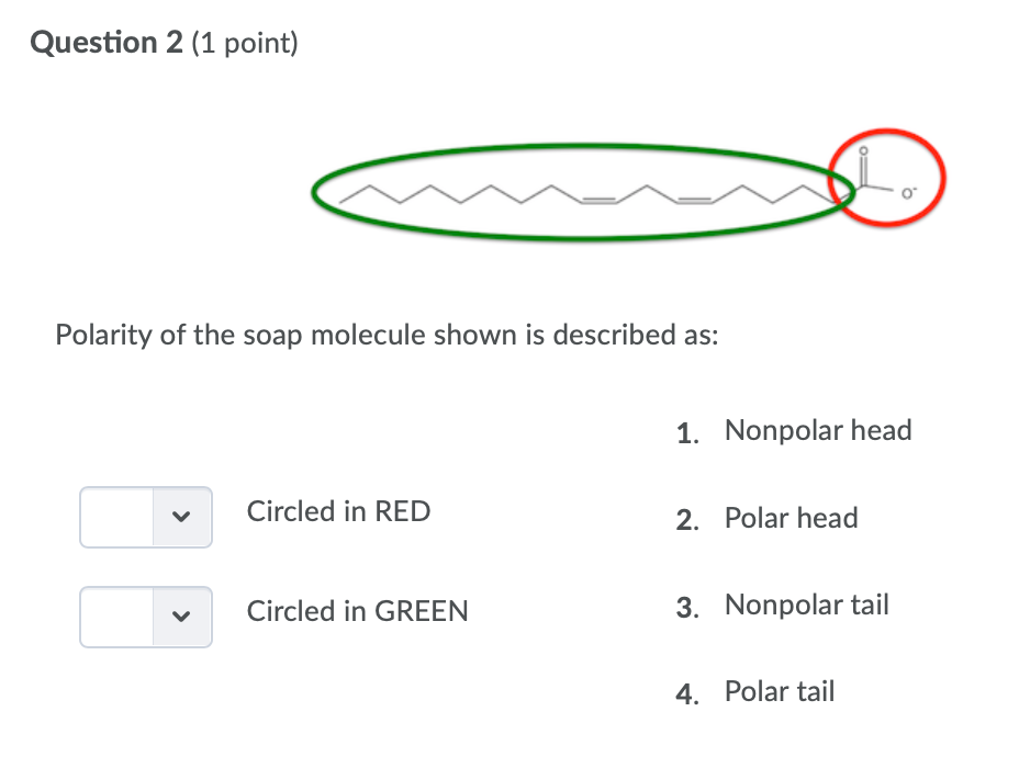 Solved Question 1 2 Points Select All The Bonds That Are Chegg solved-question-1-2-points-select-all-the-bonds-that-are-chegg