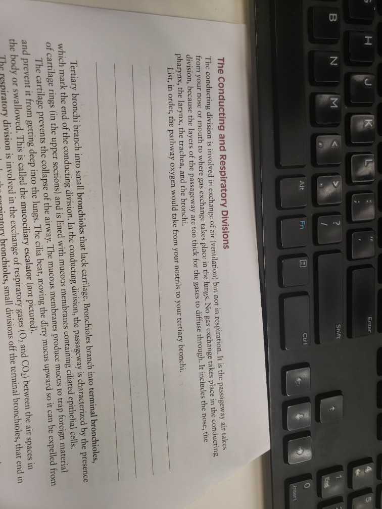 Solved Enter Shift N Alt Fn Ctrl Insert The conducting and | Chegg.com