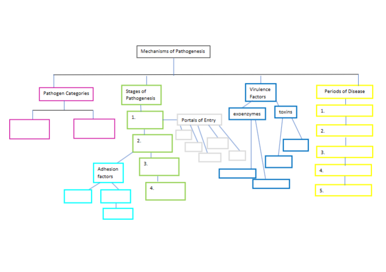 Solved Organize the concept map accordingly. Put the | Chegg.com
