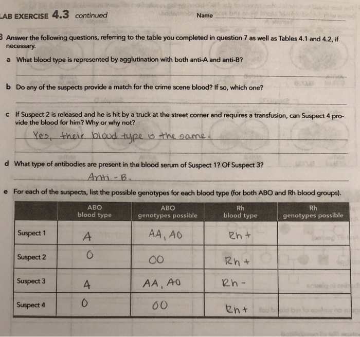 Solved AB EXERCISE 4.3 continued Name Answer the following | Chegg.com