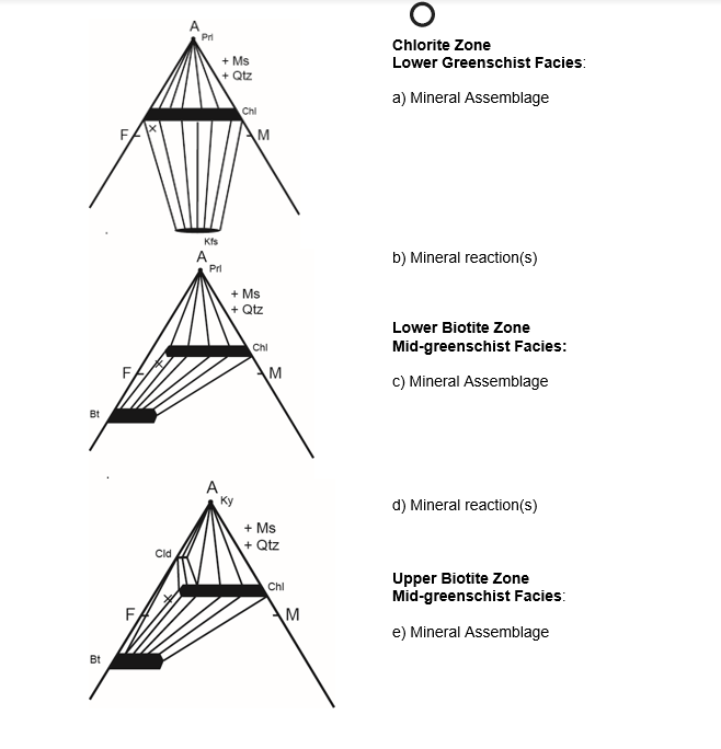 Solved Q1. For the pelite protolith rock composition shown | Chegg.com