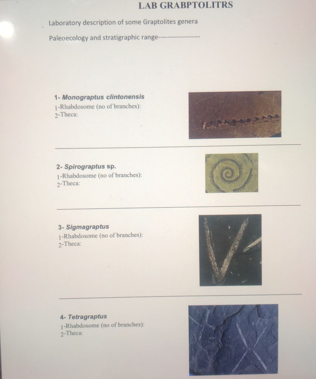 Solved LAB GRABPTOLITRSLaboratory description of some | Chegg.com