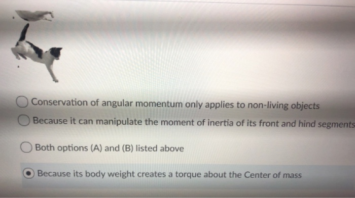Solved Question 3 (0.5 PUNTS] Juveu How does a cat rotate in | Chegg.com