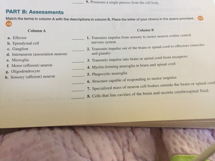 Solved Match The Terms In Column A With The Description In Chegg